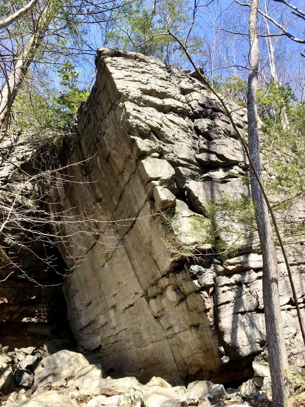Needleseye Park | Oak Hill West Virginia